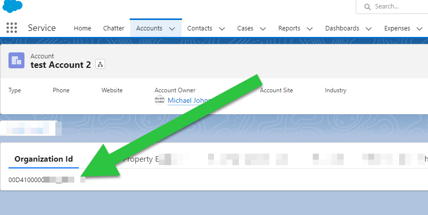 Salesforce Lightning Web Component Organization Id